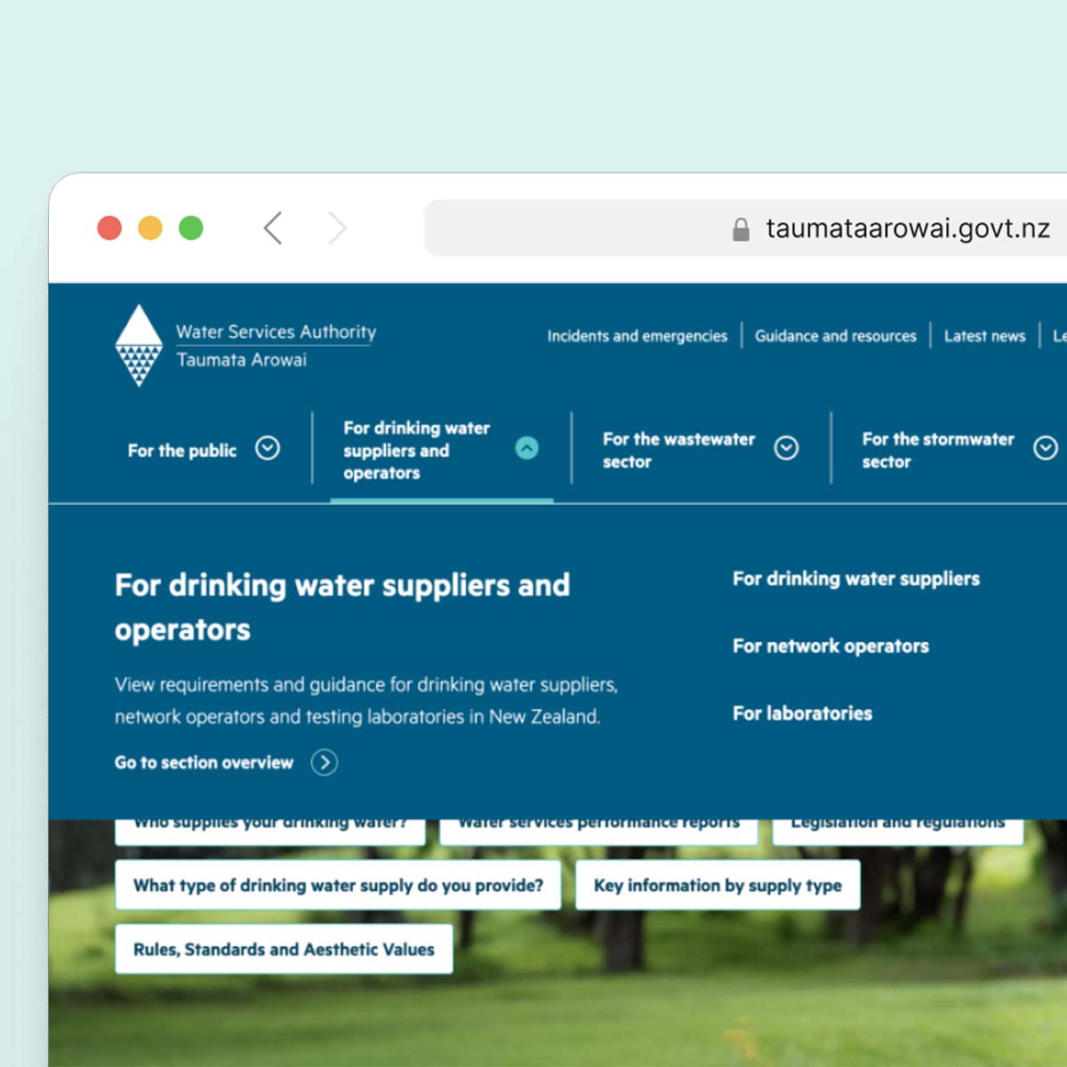 Information Architecture Review for Better Website Usability
